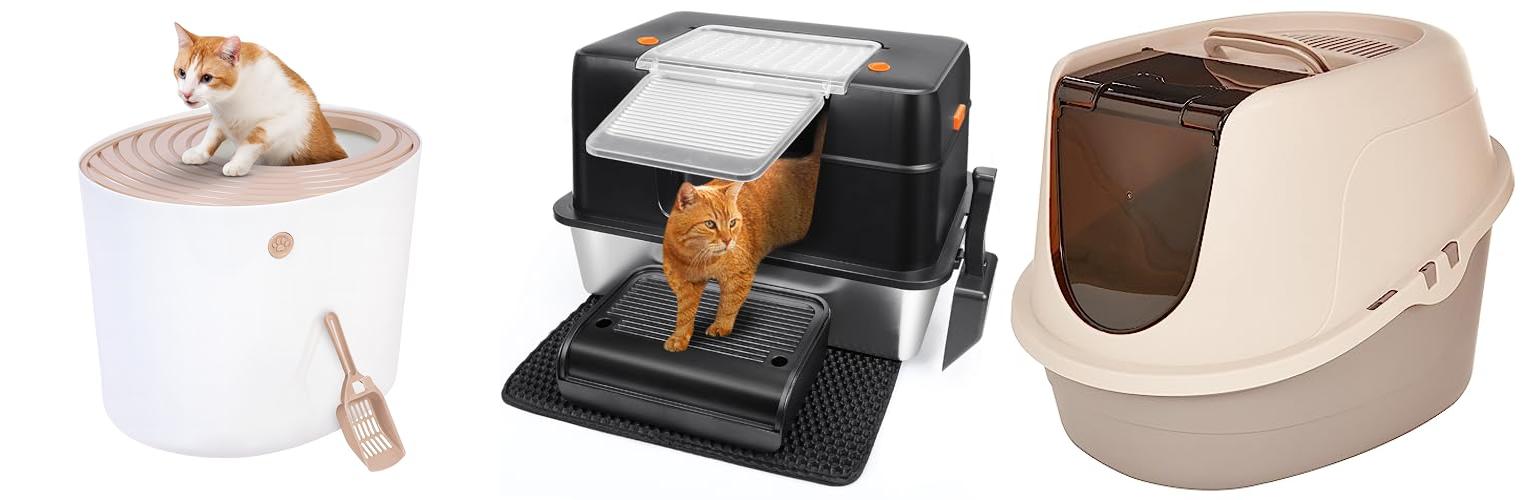 Best Litter Box For Messy Cats - Top 5 Picks & Review - Daily Hand ...